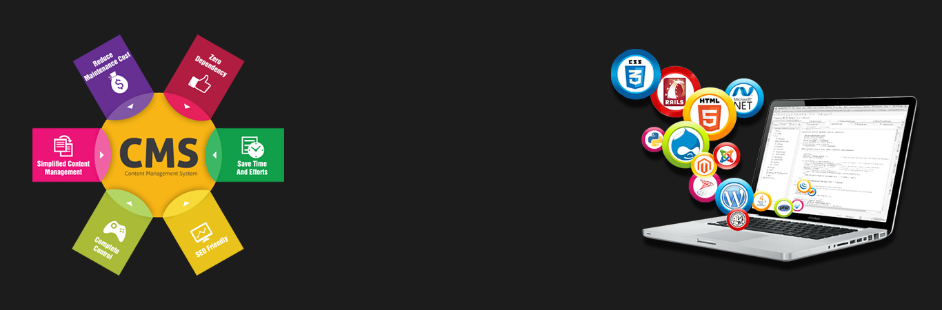 CMS_ Design - Digi Web Art